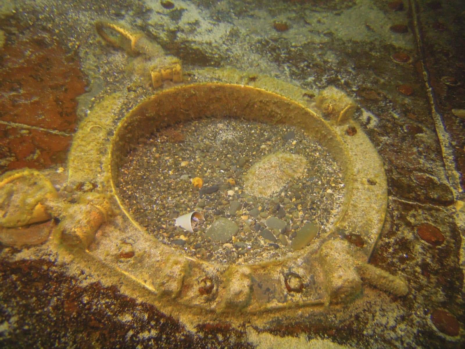 The Wreck – SS Australis